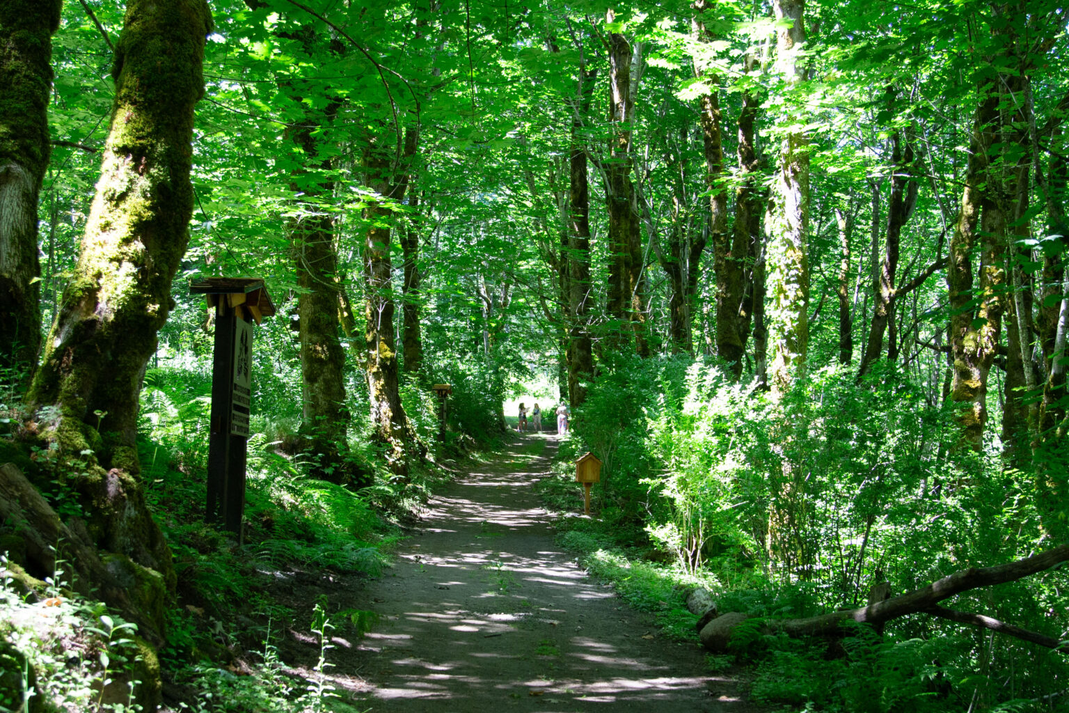 Survivor Path – Menucha Retreat and Conference Center